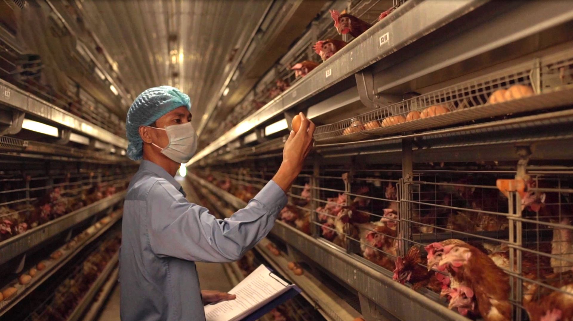 WHAT WE DO | Soma Group