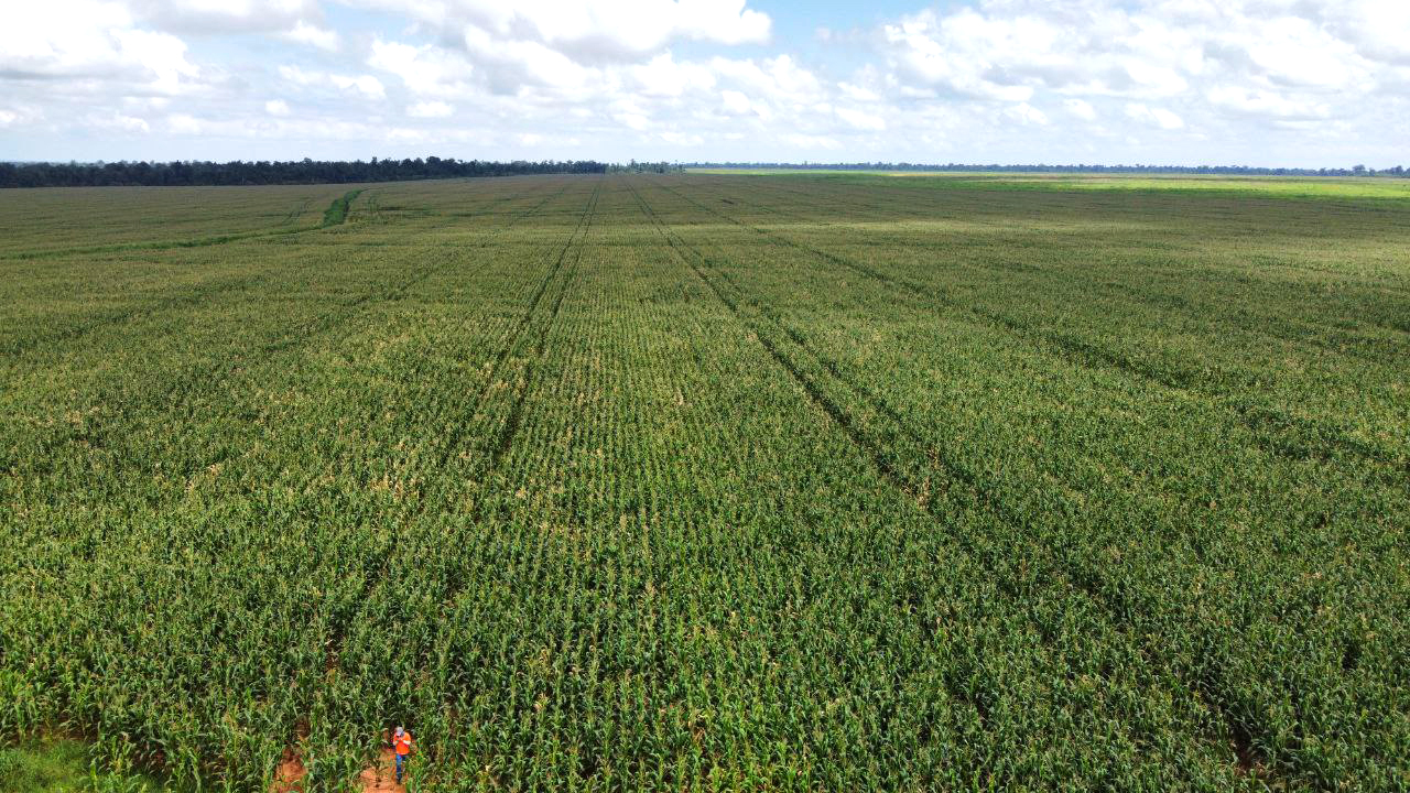 WHAT WE DO | Soma Group