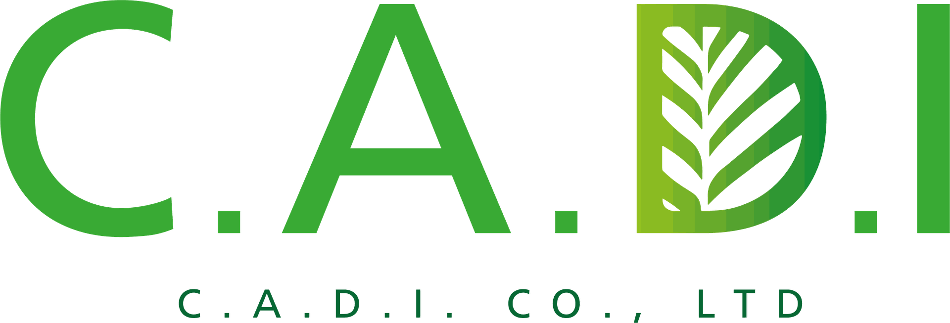 WHAT WE DO | Soma Group