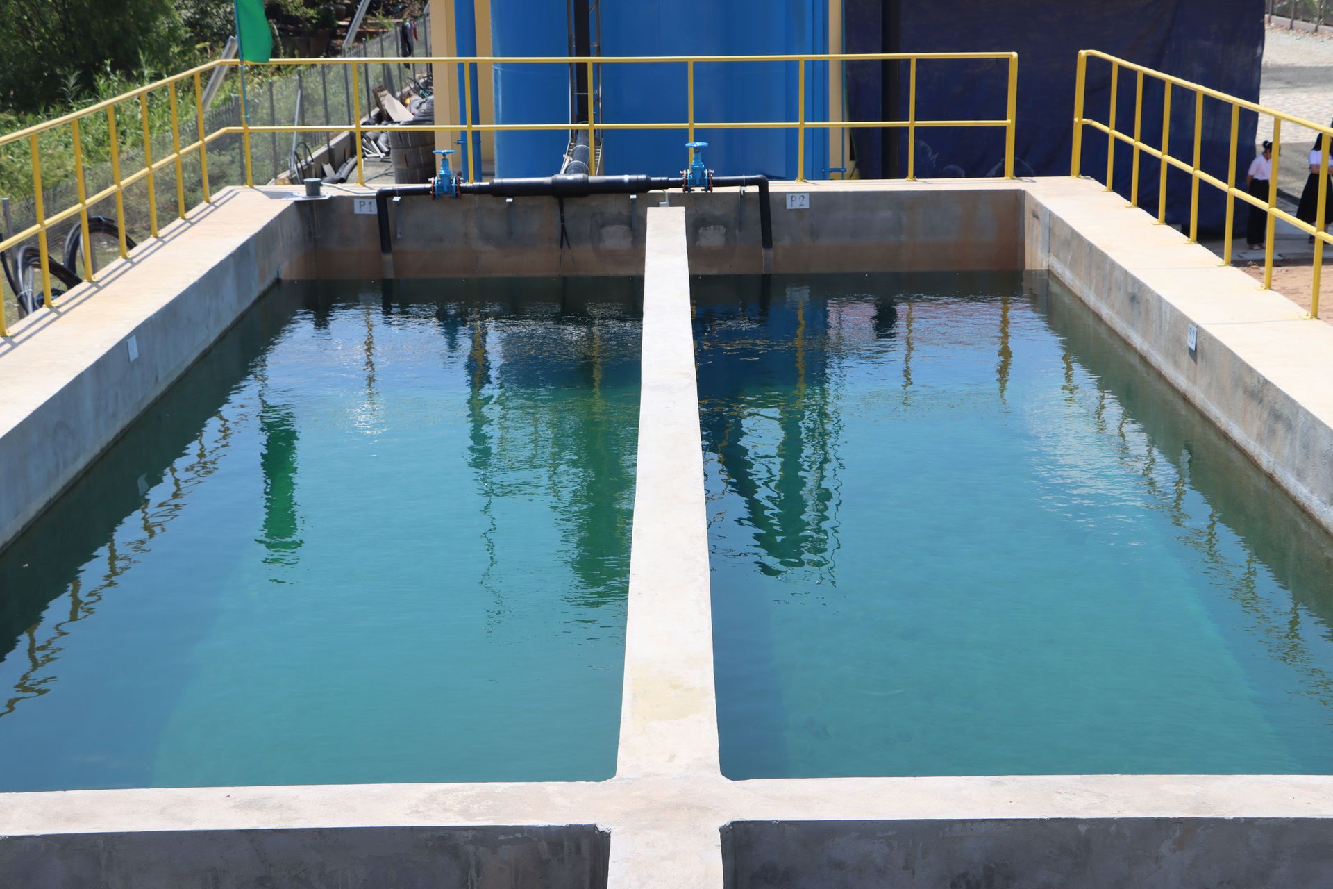 WHAT WE DO | Soma Group